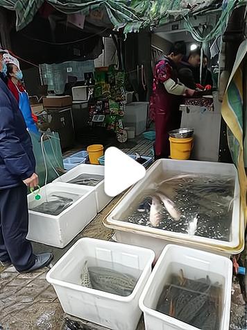 在市场卖鱼挣钱吗图标