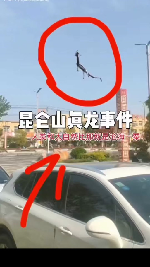 养龙图标