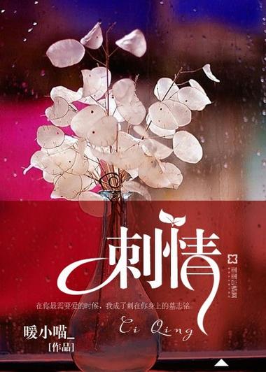 小说《刺情》张世豪图标