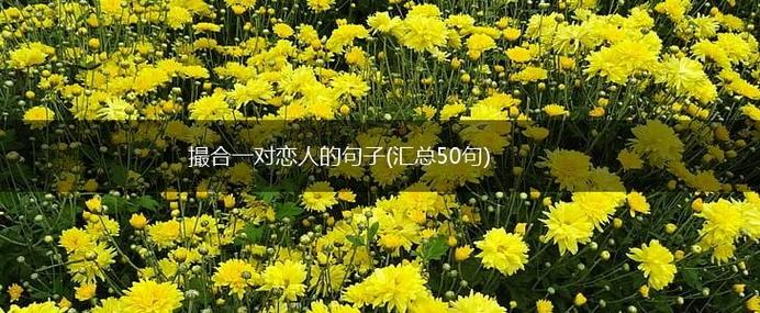 夸两人绝配的句子图标