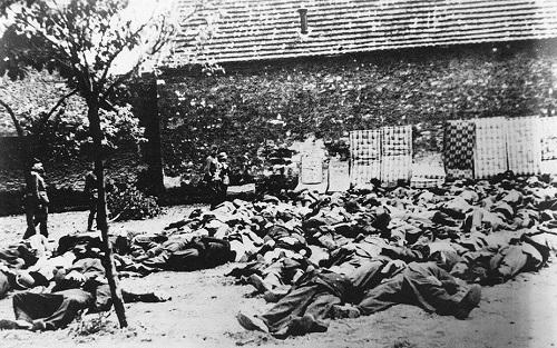 港岛家族1942图标