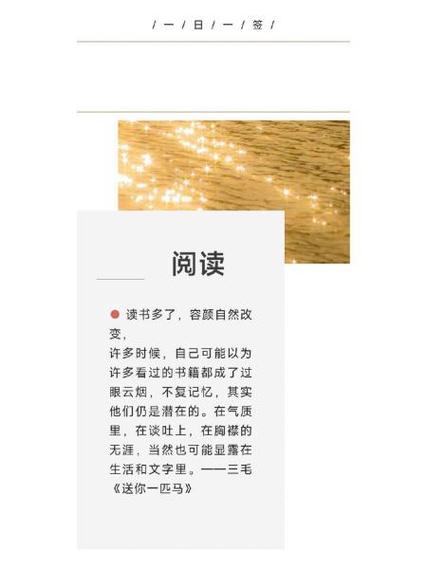 晚上看书朋友圈配文