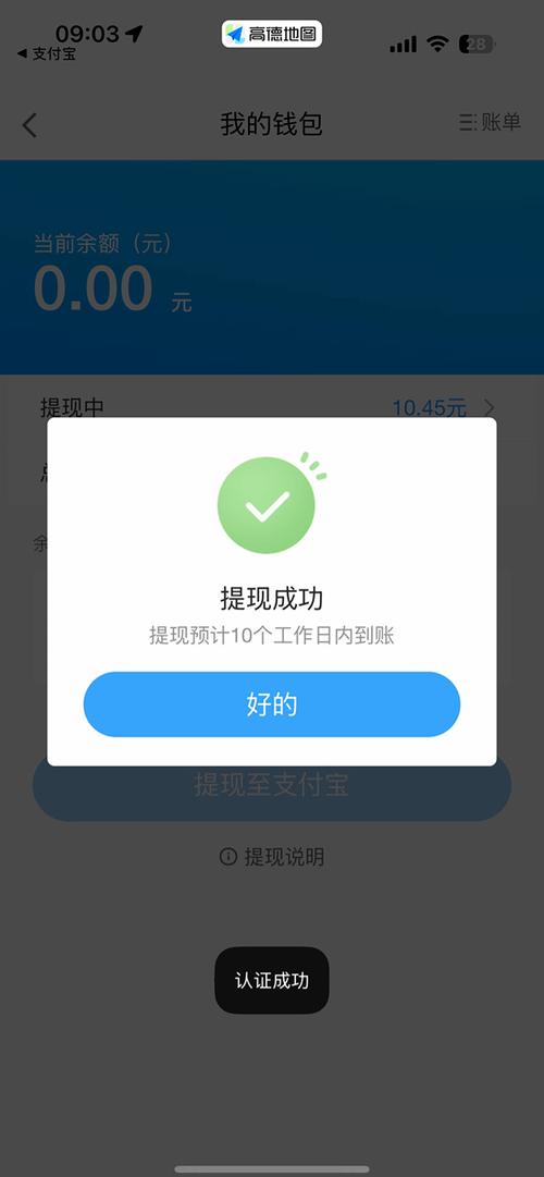 为什么高德提现要那么久图标