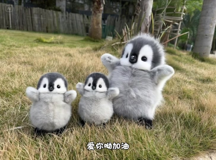yome社交软件图标