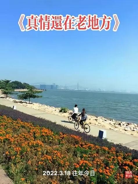 还在什么地方图标