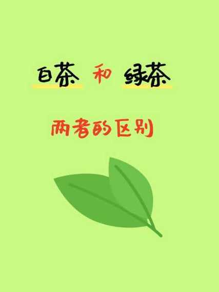 绿茶免费观看完整版图标