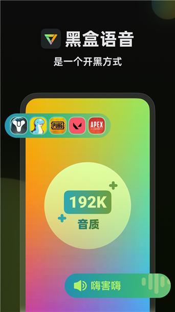 小黑盒语音手机版怎么下载截图