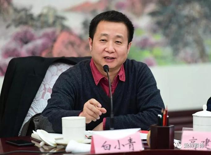 白小青简历图标