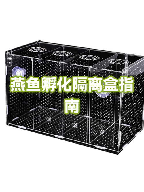 隔离盒的正确使用方法图标