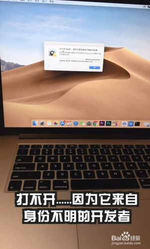 mac系统软件打不开图标