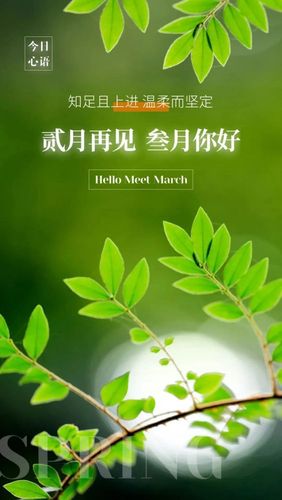 三月最火文案短句图标