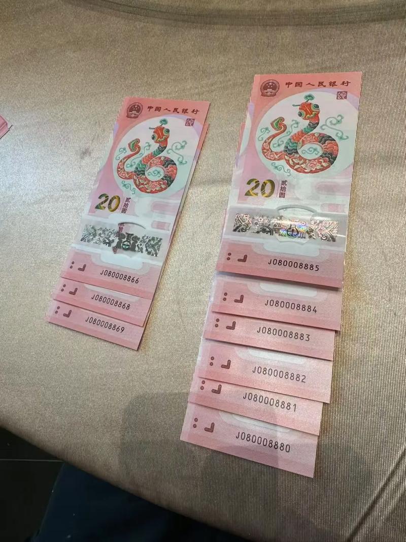 天天飞龙2025年新版赚钱图标