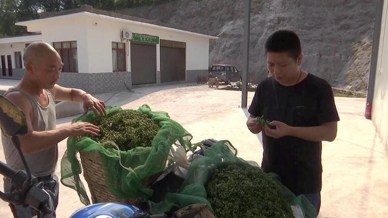 何小东个人资料及简介图标