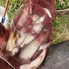 钓友之家图标