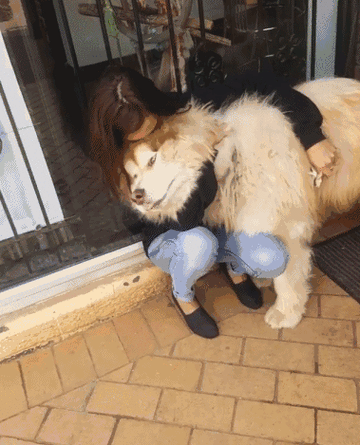 女生叫男生小狗是什么意思图标