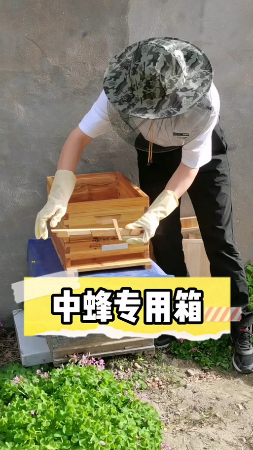 养100箱中蜂一年收入图标