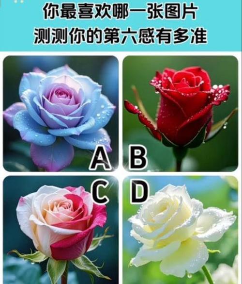 第六感准吗图标