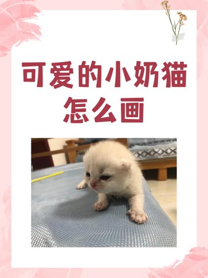 画一只迷你小奶猫图标