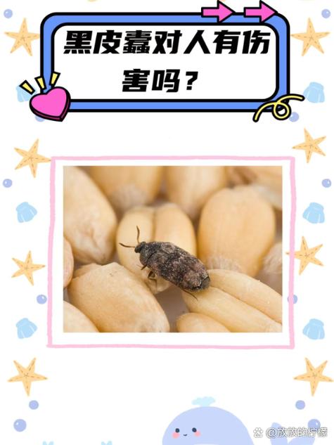 我的世界蠹虫寄生女生肚子里图标