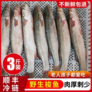 海支鱼好不好吃截图