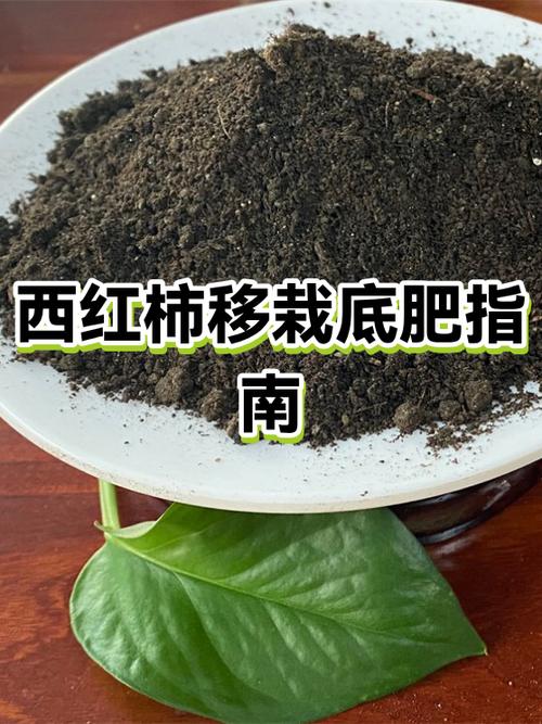 西红柿用什么肥料图标