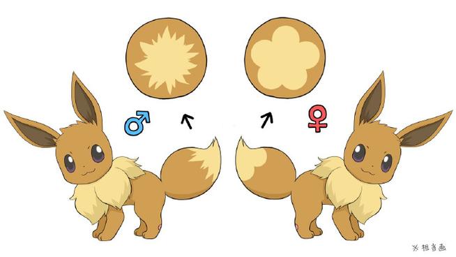 宝可梦伊布和皮卡丘有啥区别截图