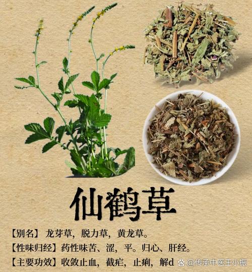 仙鹤草泡酒外用功效图标