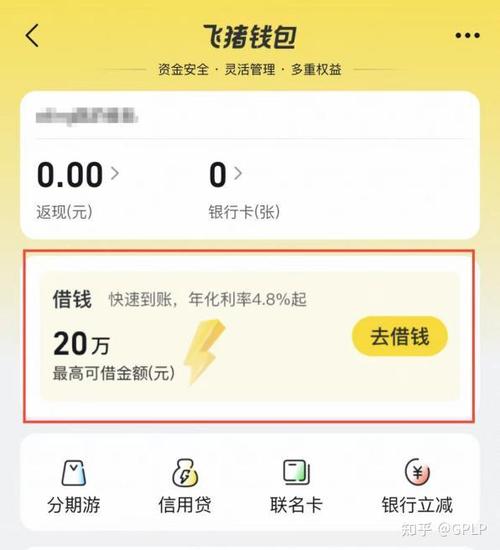 飞猪是不是可以借钱出去玩图标