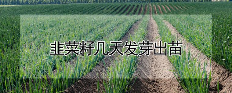 韭菜籽几天发芽出苗图标