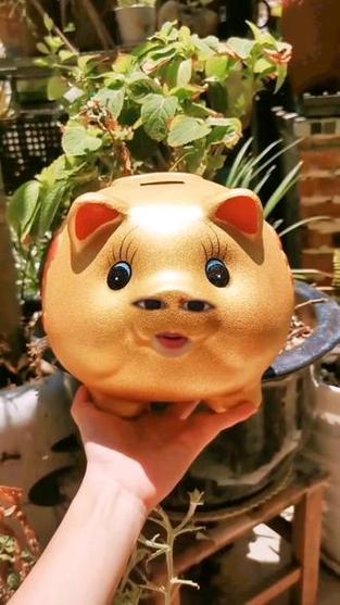 金猪生大钱app邀请码图标