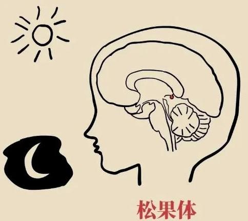 睡眠模式伤电脑吗图标