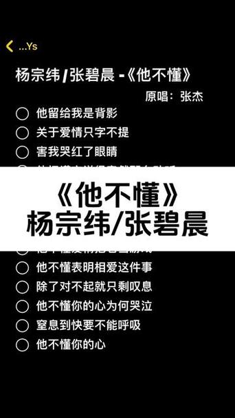他不懂歌词想表达什么