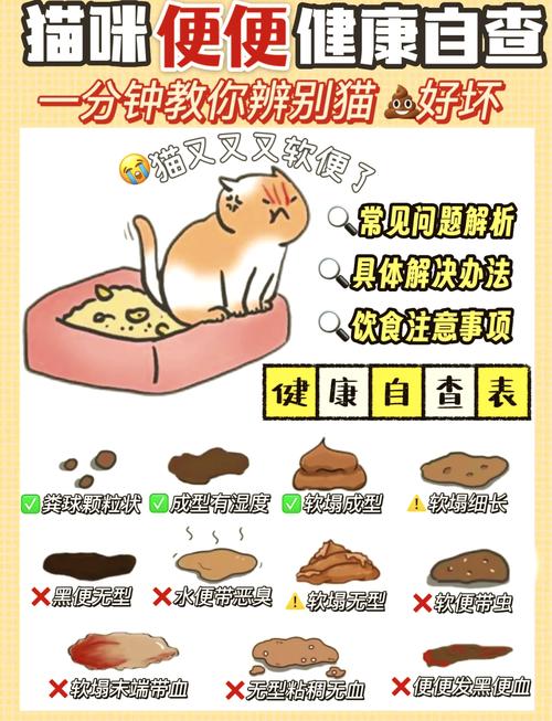 狗屎屁妈耶猫咪的全集图标