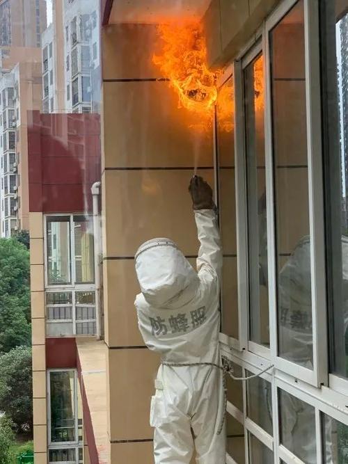 我的世界蜂巢没有蜜蜂了怎么办图标