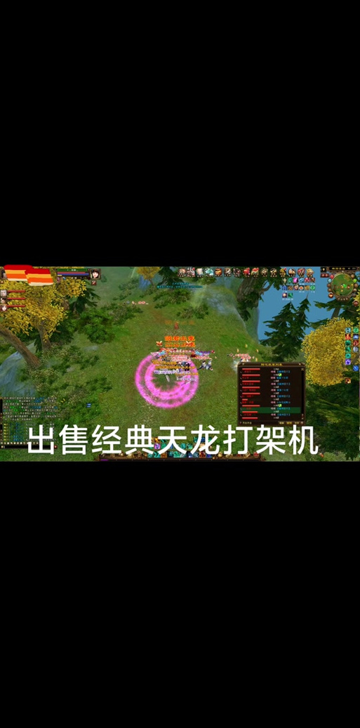 天龙sf野狼辅助脚本截图