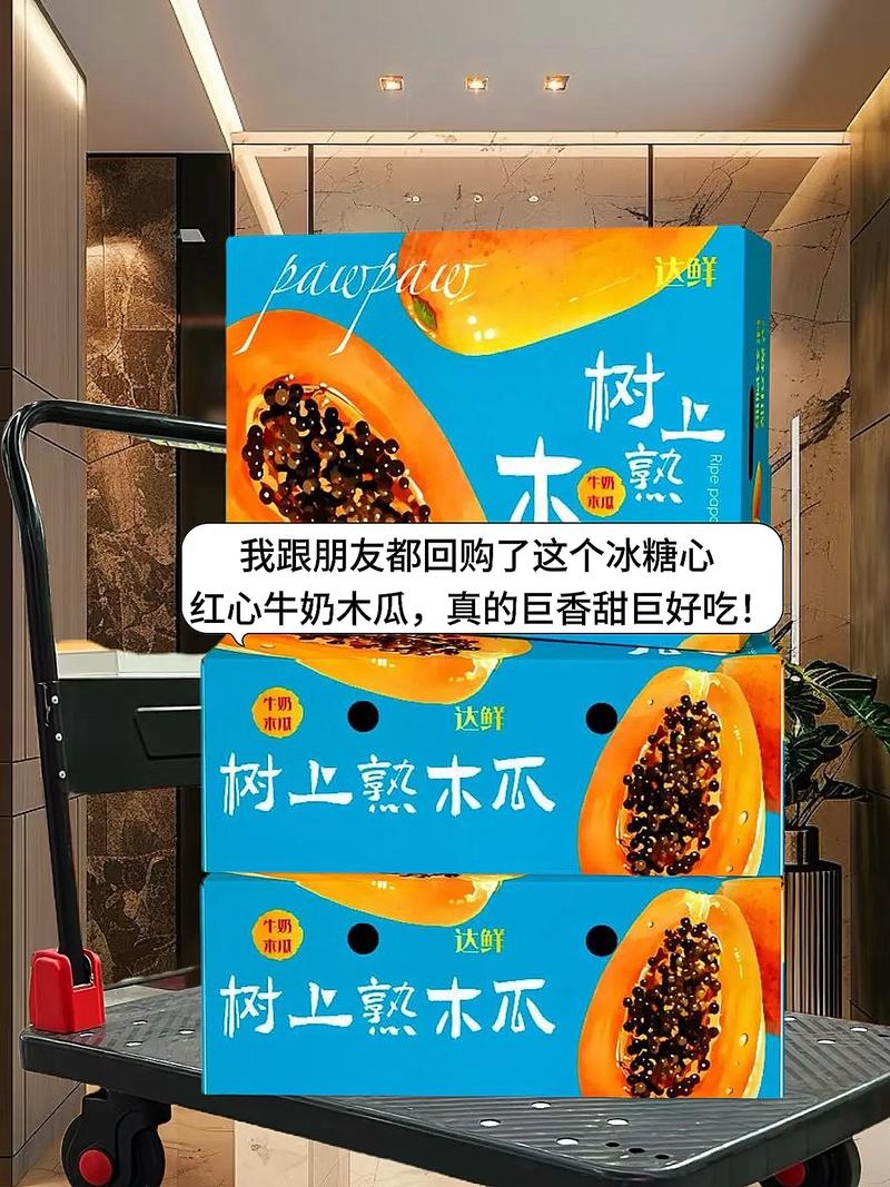 木瓜看书去广告图标