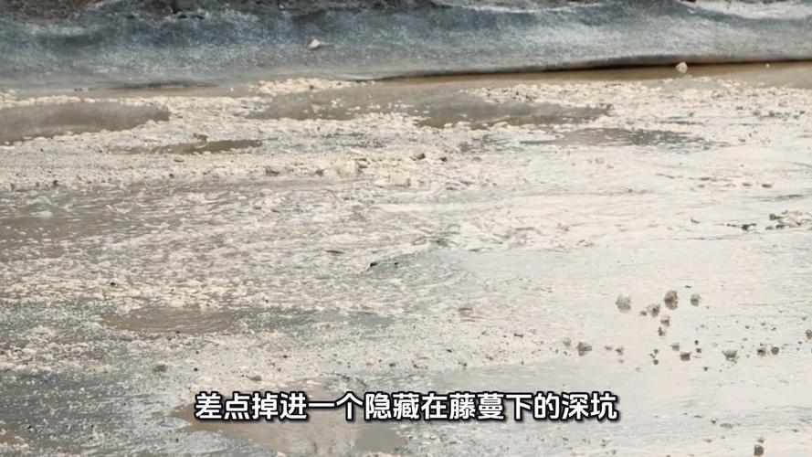 盗墓:开局吞了金蚕蛊
