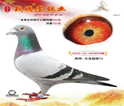 凡龙雄的三个特征图标