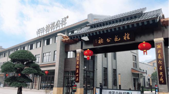 top路公社截图
