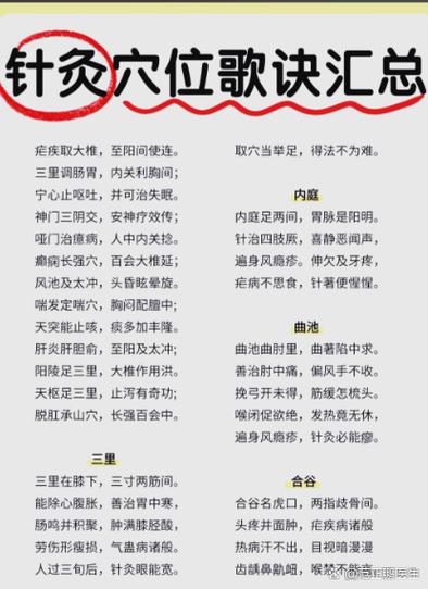 针灸四总歌诀图标