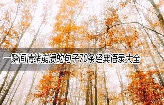 导航经典语录图标