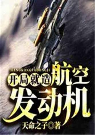 开局造战斗机震惊军区的小说图标