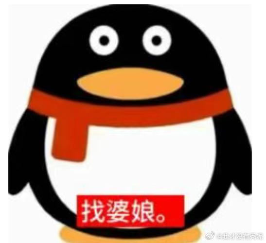 qq找婆娘表情包