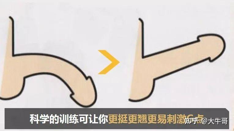 怎样促进男性海绵体生长