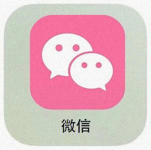 粉色微信图标图标