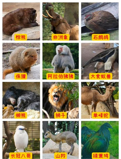 动物园都有啥动物图标