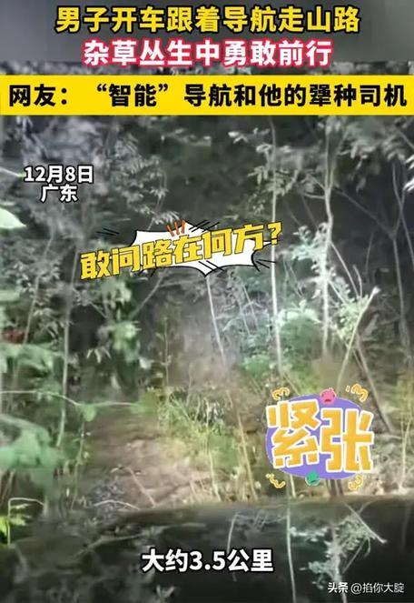缺德导航搞笑语音包图标