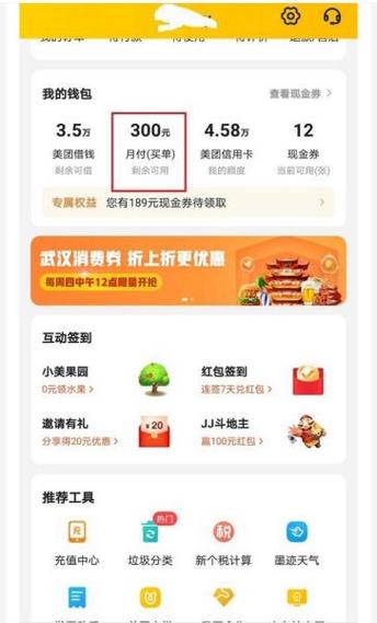 美团在哪里看消费总额图标