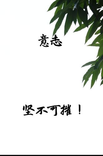 手机狠狠的摔在地上,会坏吗图标