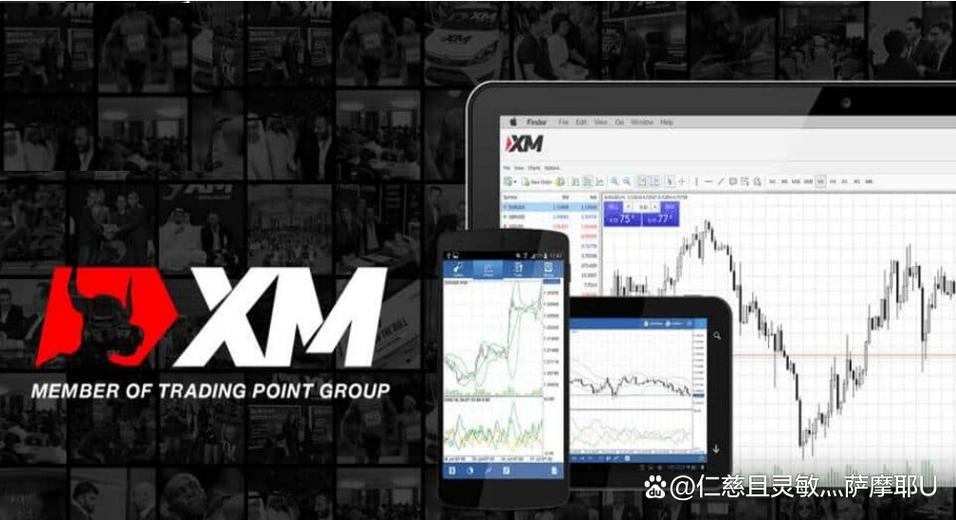 cxm外汇官网入口